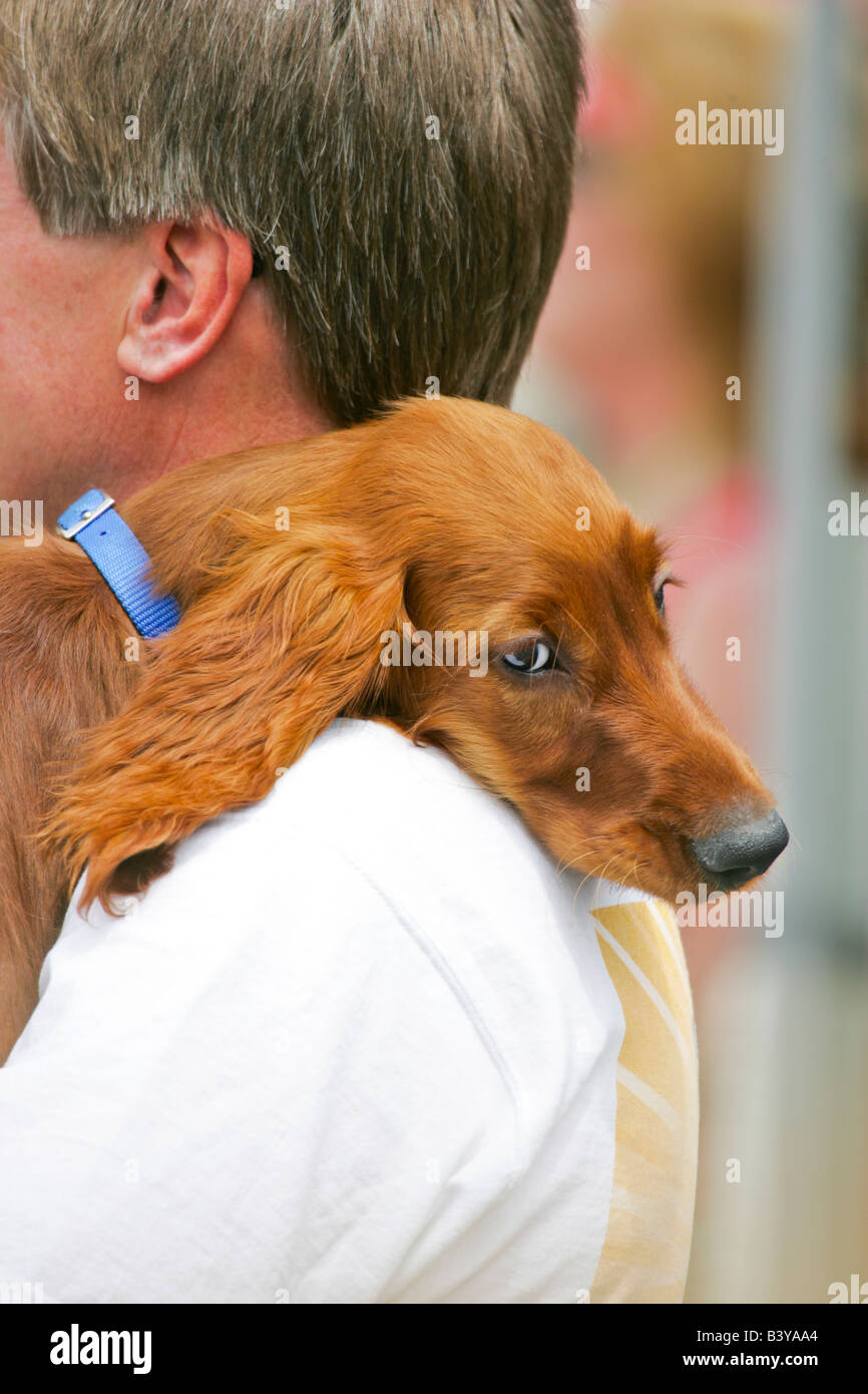 Man carrying dog hi-res stock photography and images - Alamy
