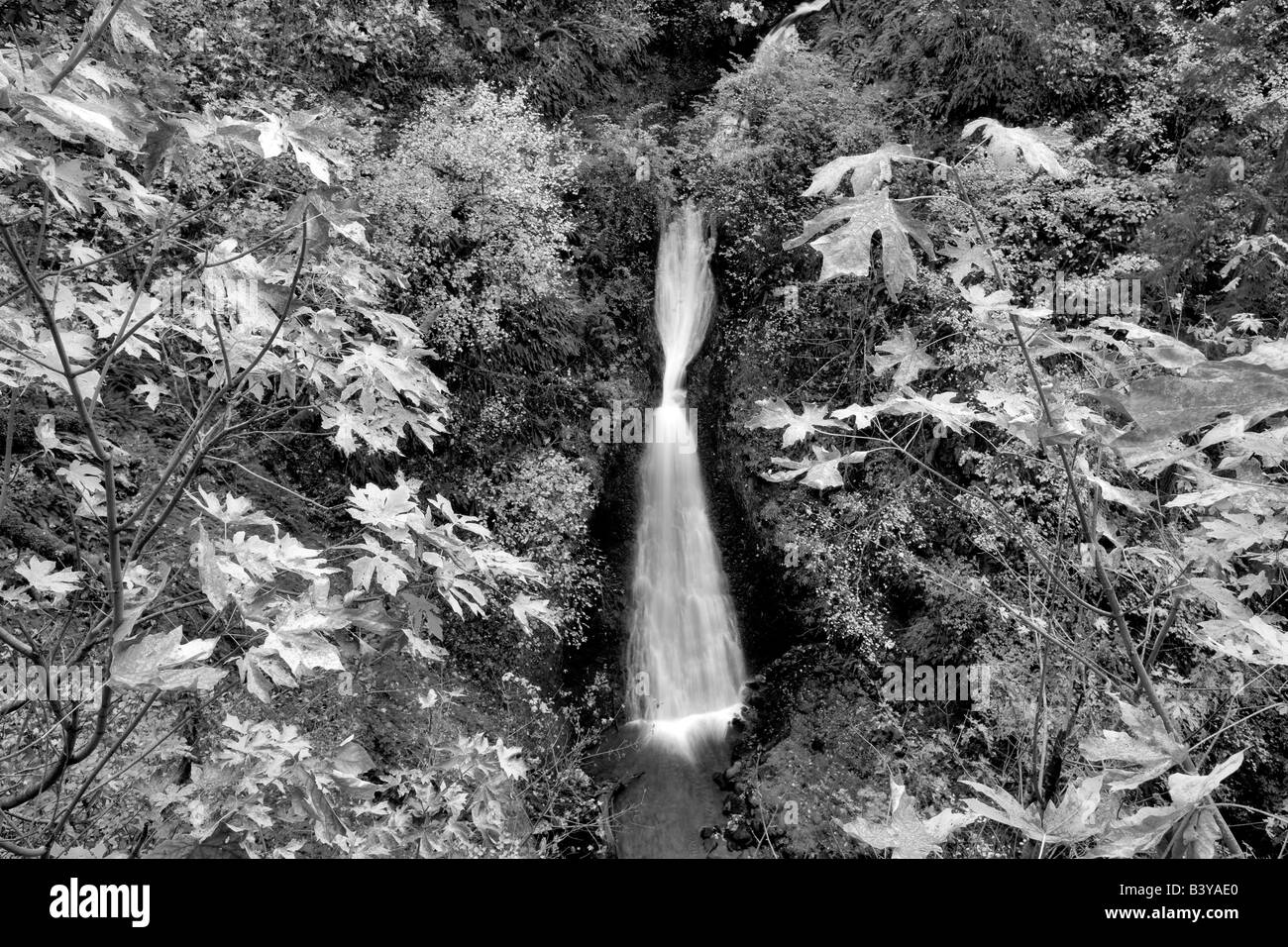 Shepperd s Dell waterfall with fall color Columbia River Gorge National ...