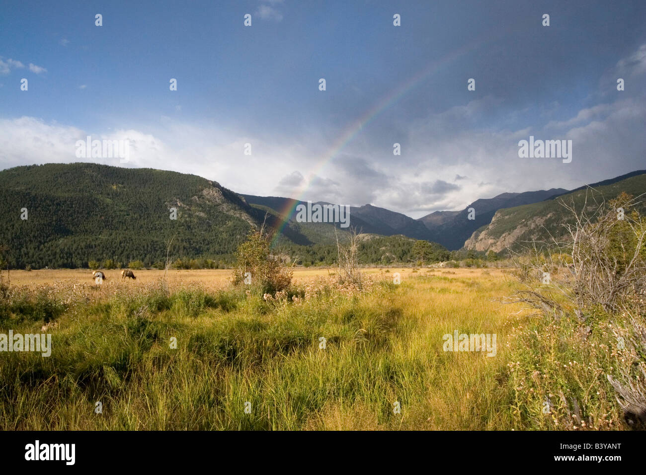North America - USA - Colorado - Rocky Mountain National Park. Rainbow ...