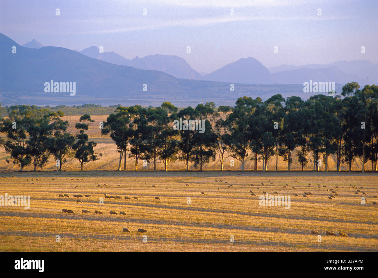 Elandskloof mountains hi-res stock photography and images - Alamy