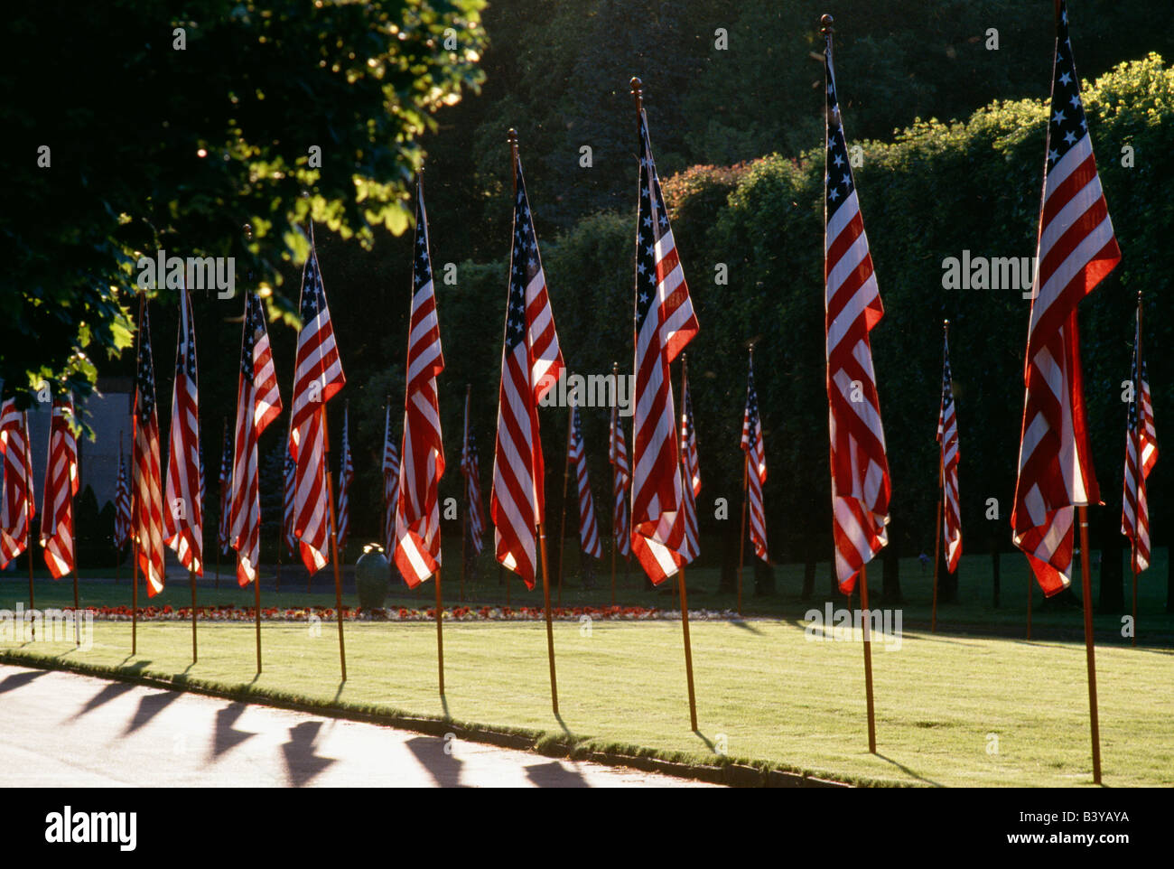 American Flags lined up in memorial park on Memorial Day Stock Photo ...