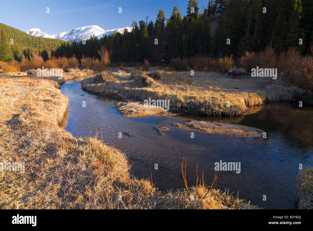 USA, Colorado, Rocky Mountain NP. Beaver Ponds in a high alpine meadow ...