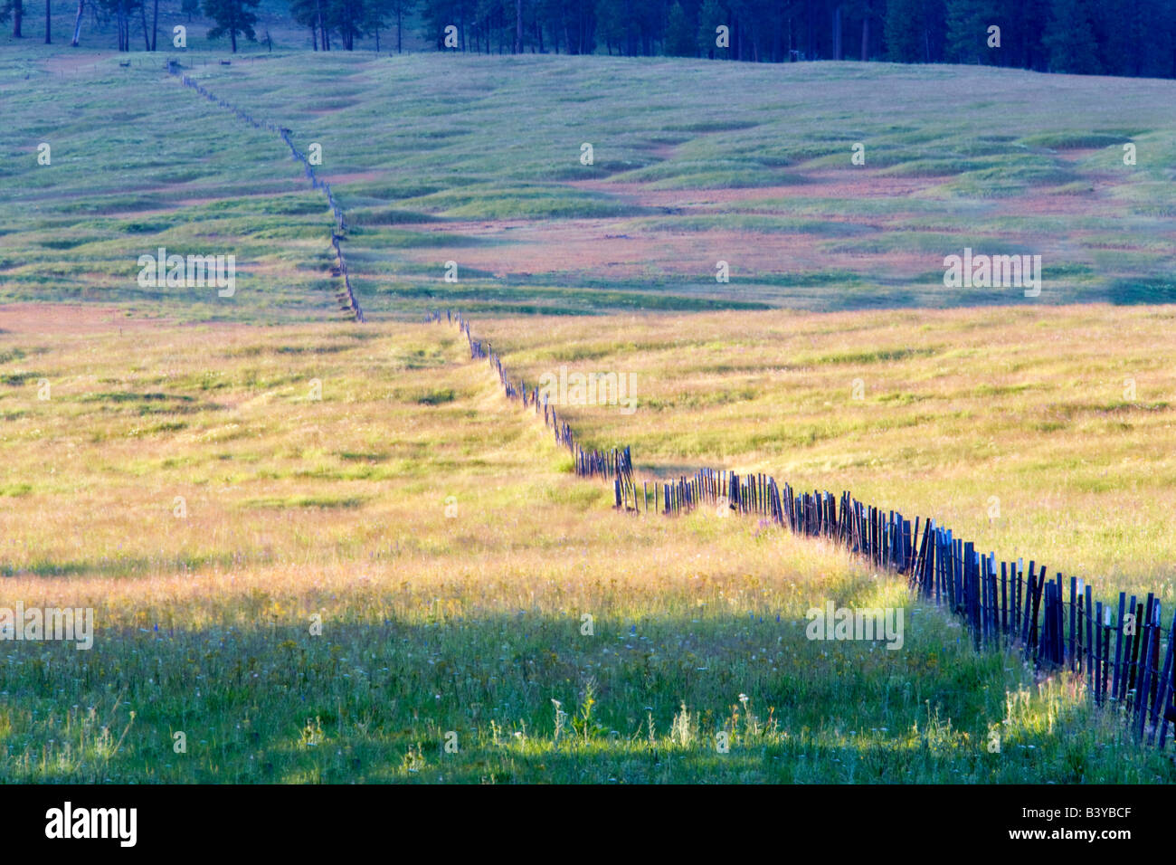 Long fence line in pasture Zumwalt Prairie Oregon Stock Photo - Alamy