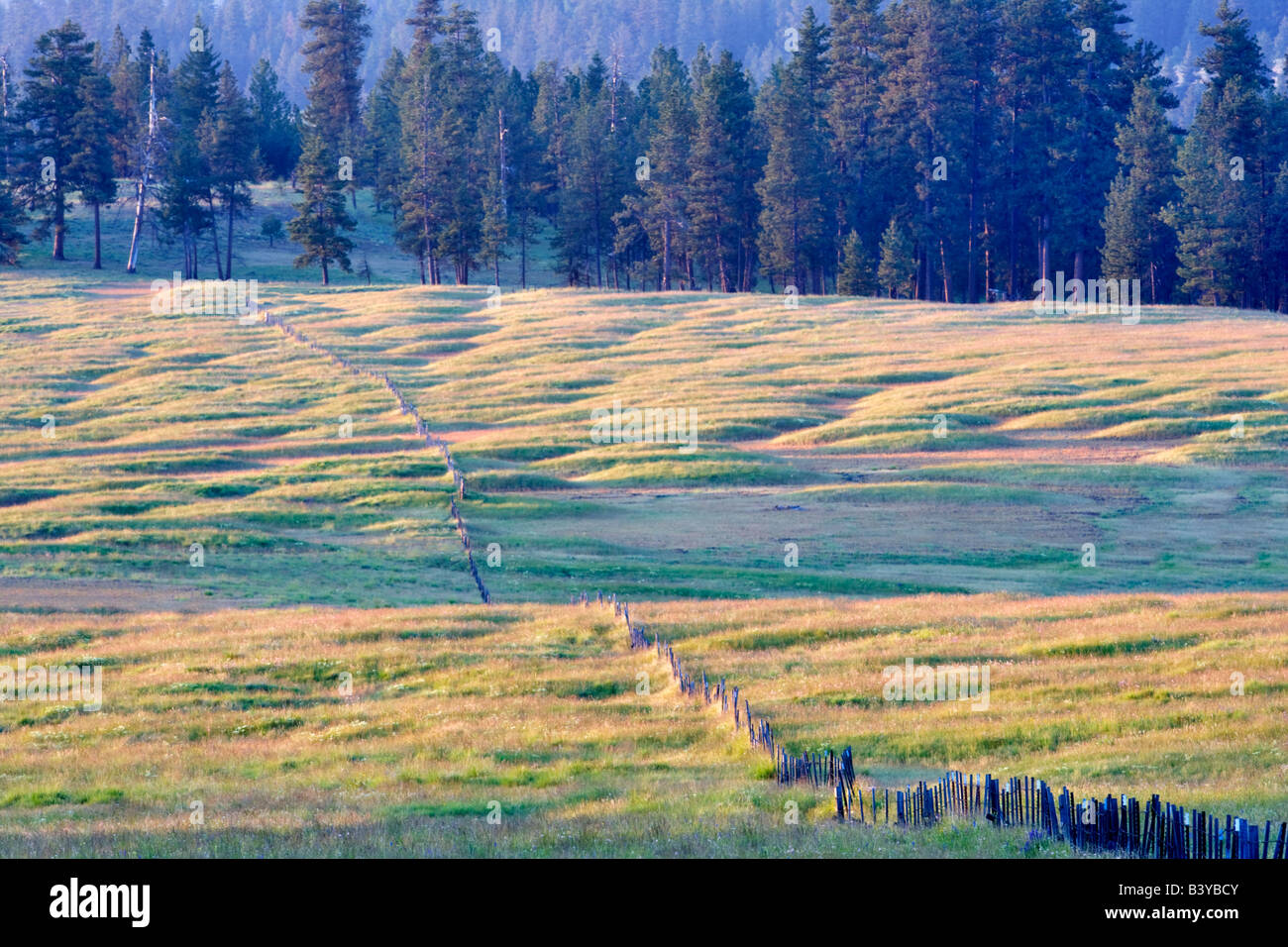 Long fence line in pasture Zumwalt Prairie Oregon Stock Photo - Alamy