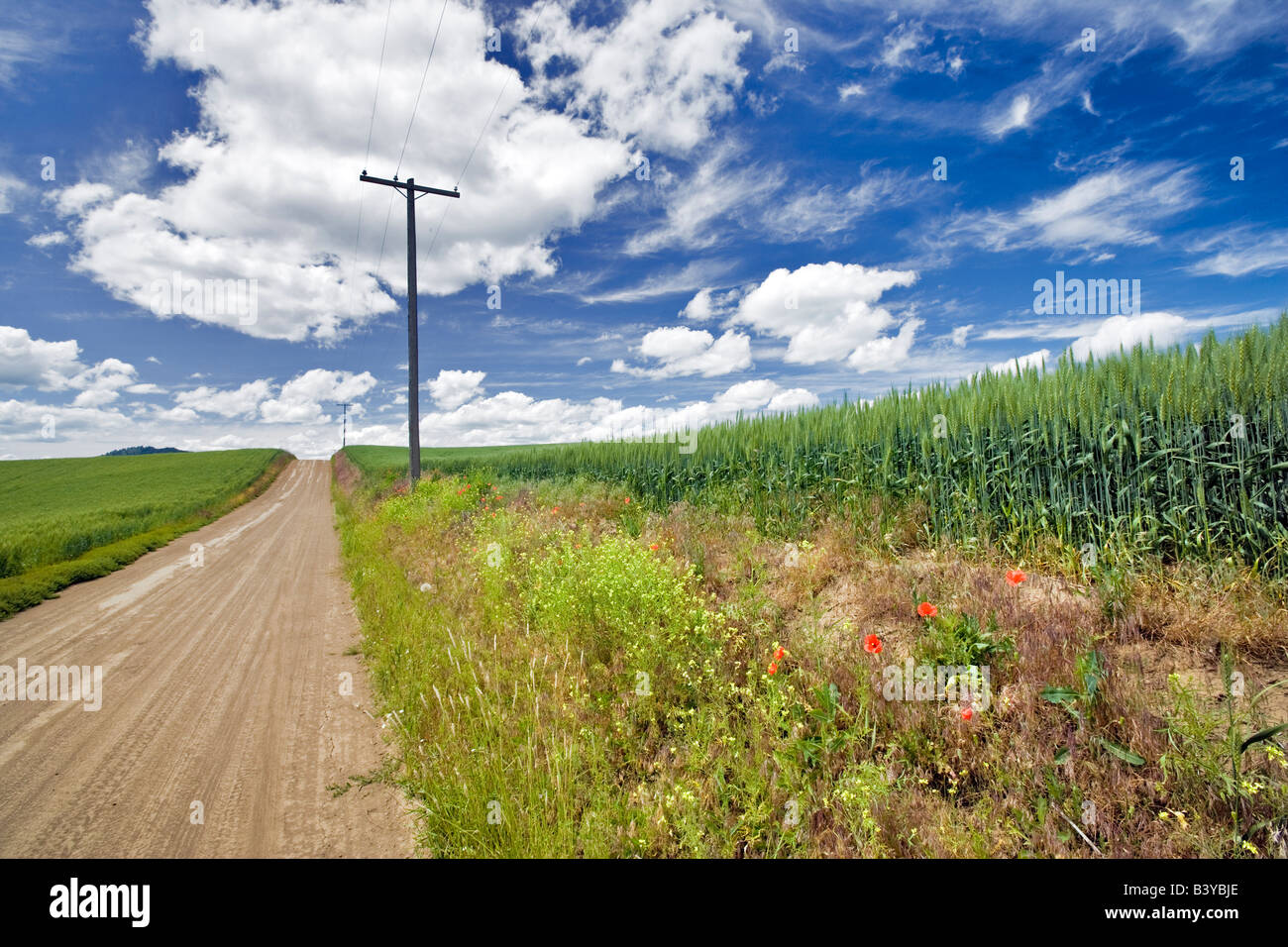 Dirt road through farmland The Palouse Washington Stock Photo - Alamy