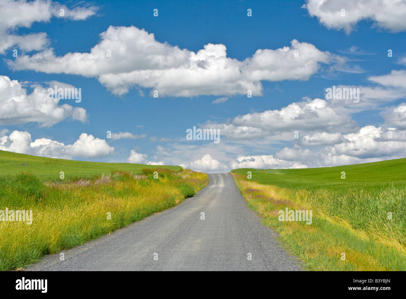 Dirt road through farmland The Palouse Washington Stock Photo - Alamy
