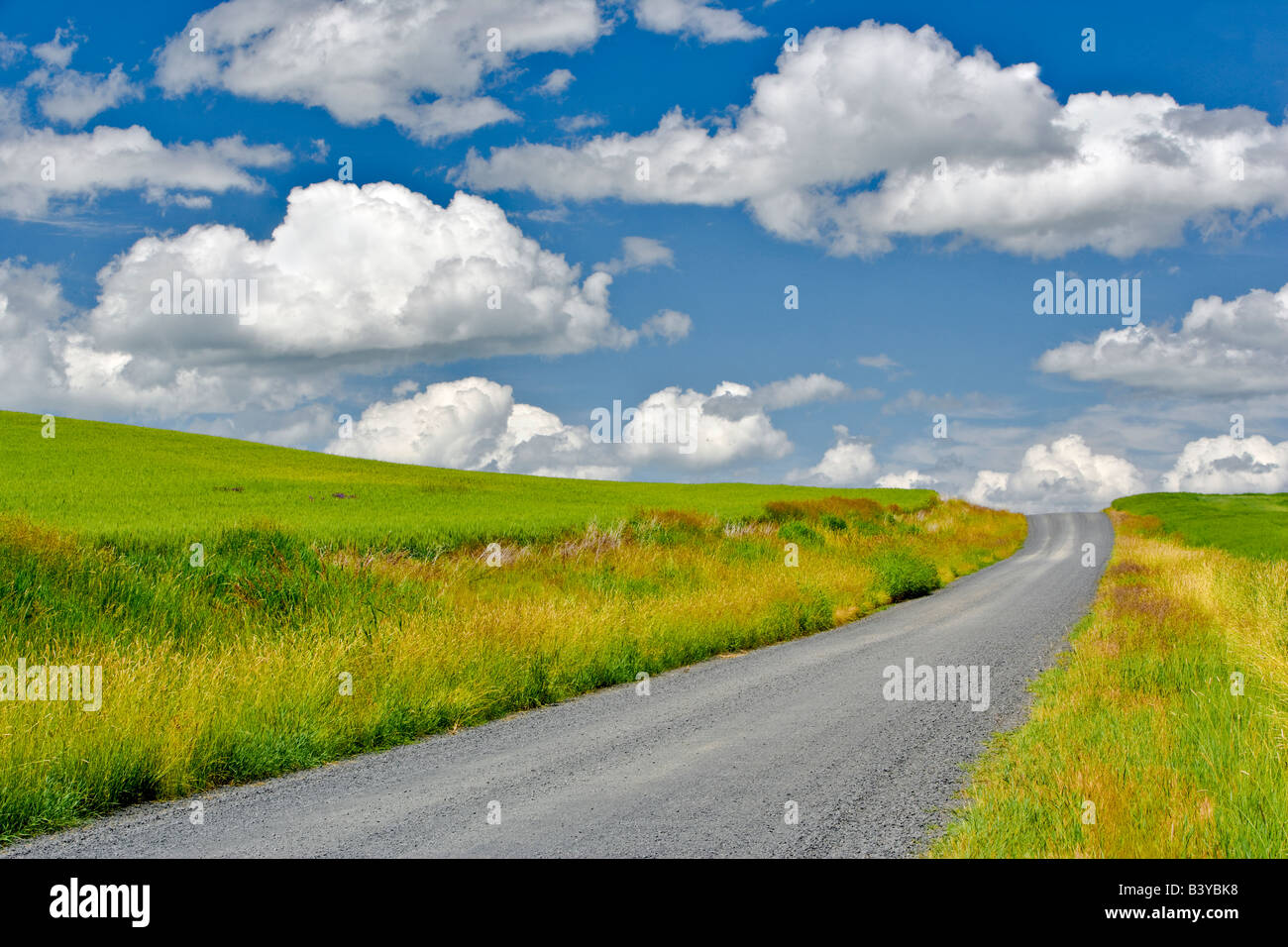 Dirt road through farmland. The Palouse, Washington Stock Photo - Alamy