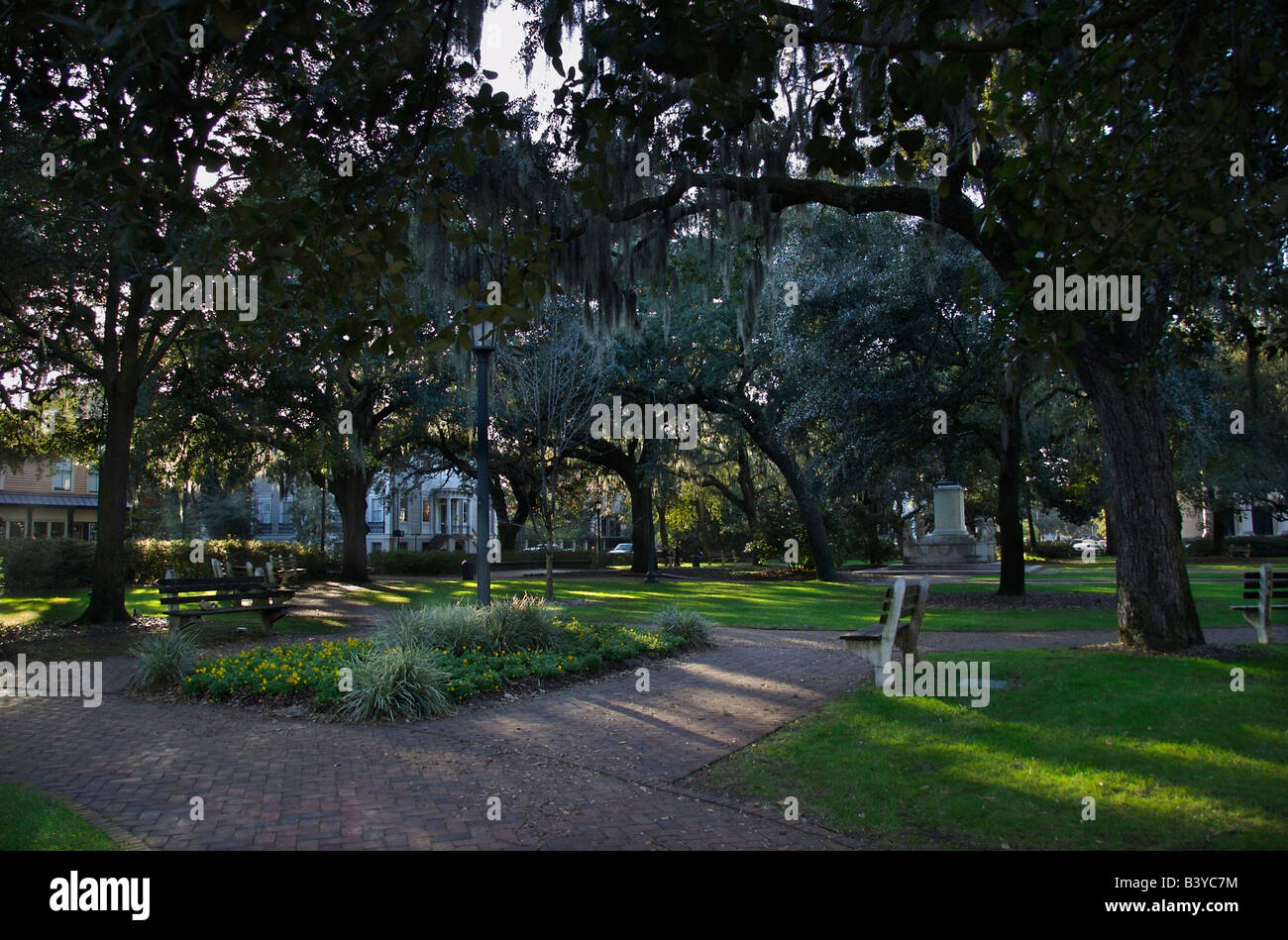 Savannah chippewa square hi-res stock photography and images - Alamy