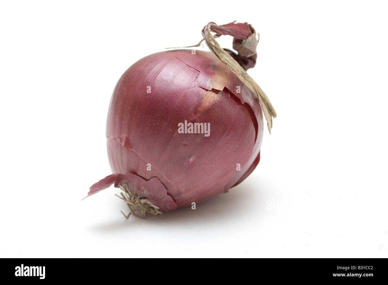Red onion on field Cut Out Stock Images & Pictures - Alamy