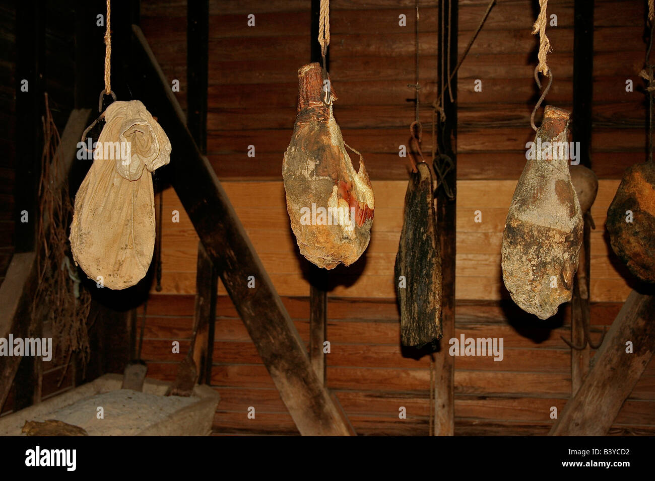 Tullie museum hi-res stock photography and images - Alamy