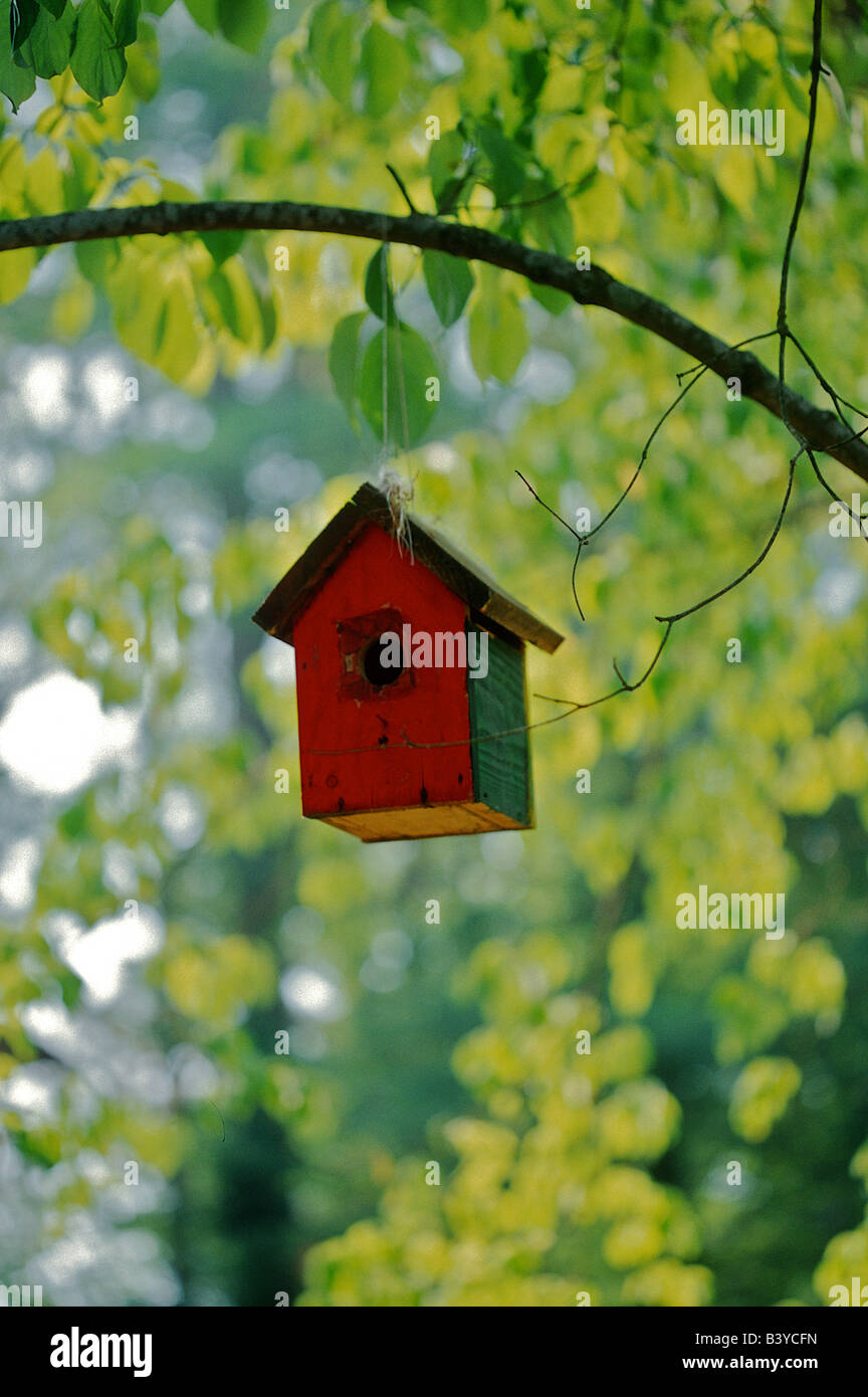 North America, USA, Georgia, Atlanta. A red birdhouse Stock Photo - Alamy