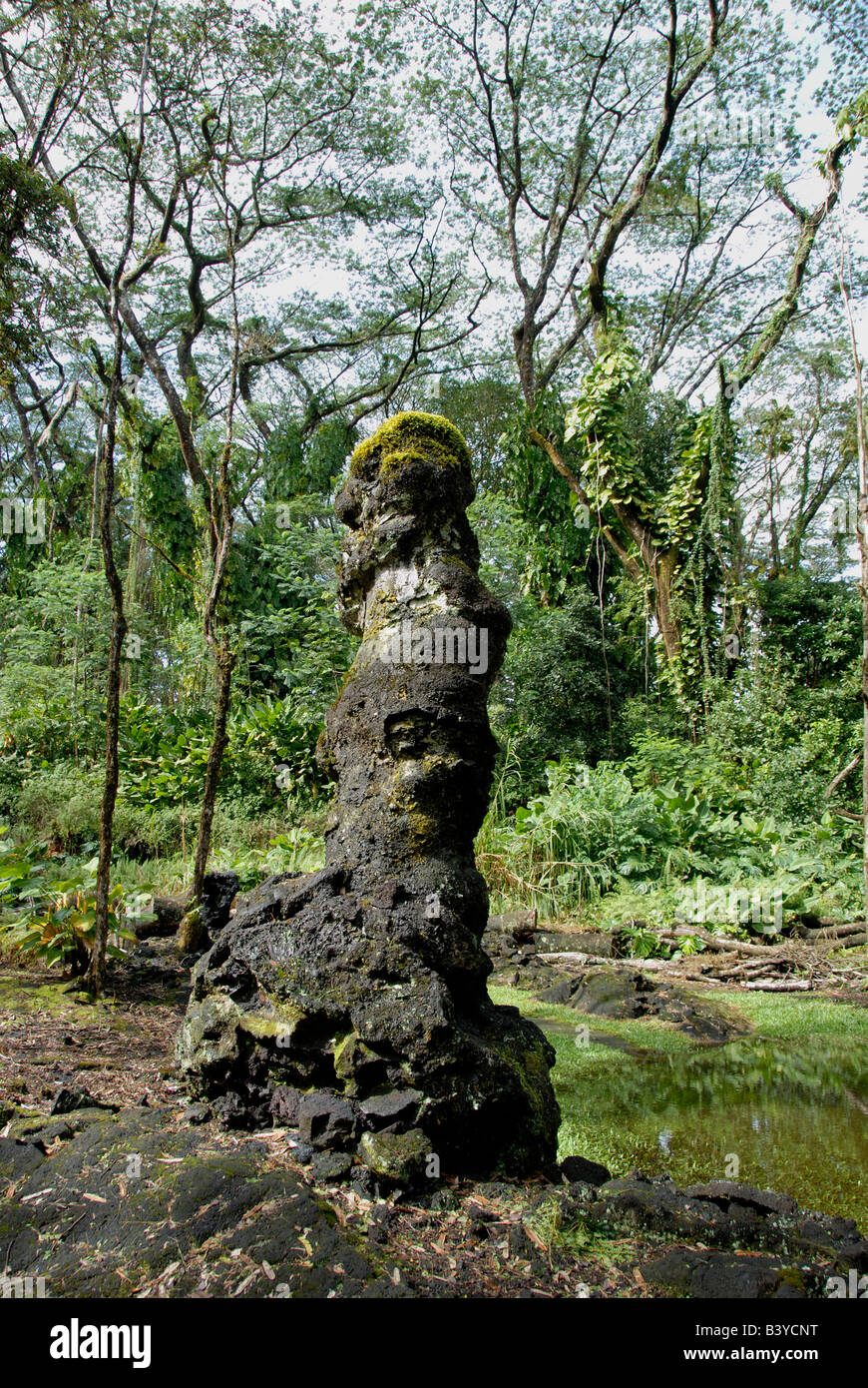 USA, Hawaii, The island of Hawaii, Hilo. Lava Tree State Park Stock ...