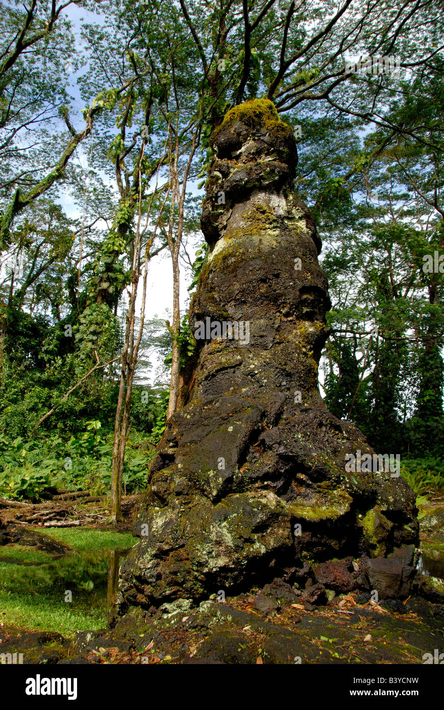 USA, Hawaii, The island of Hawaii, Hilo. Lava Tree State Park Stock ...