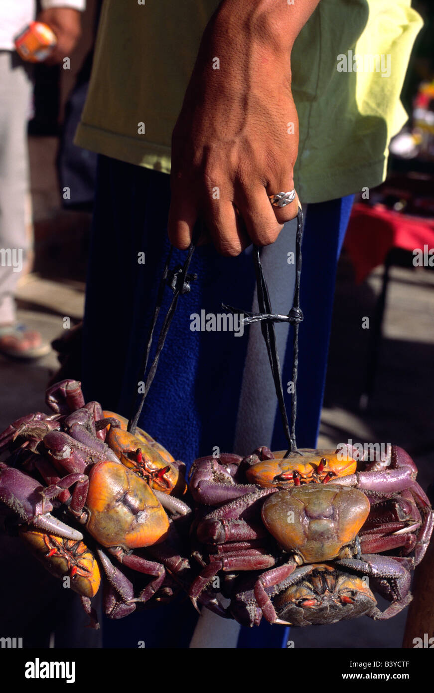 Live crabs are sold by the bunch at the beach village of Mancora, in ...