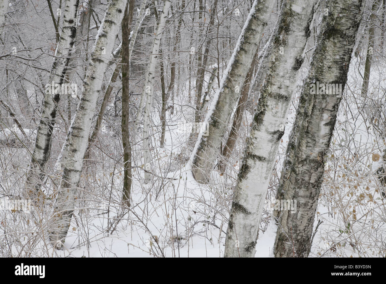 Catfish creek state preserve hi-res stock photography and images - Alamy