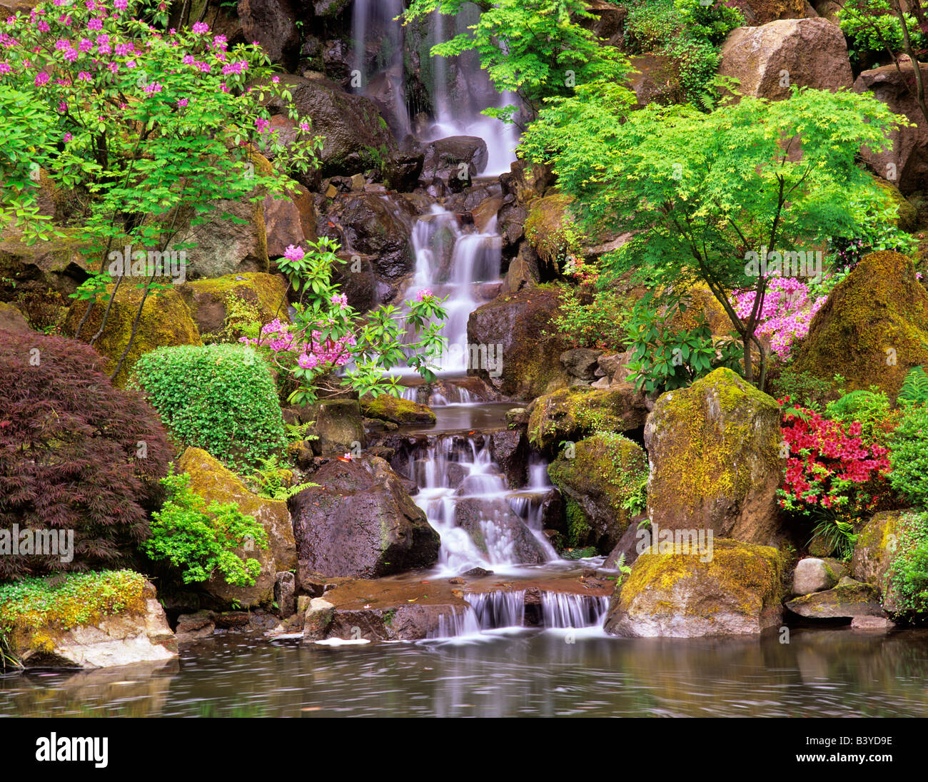 Waterfall with azaleas and rhododendrons Japanese Gardens Portland ...