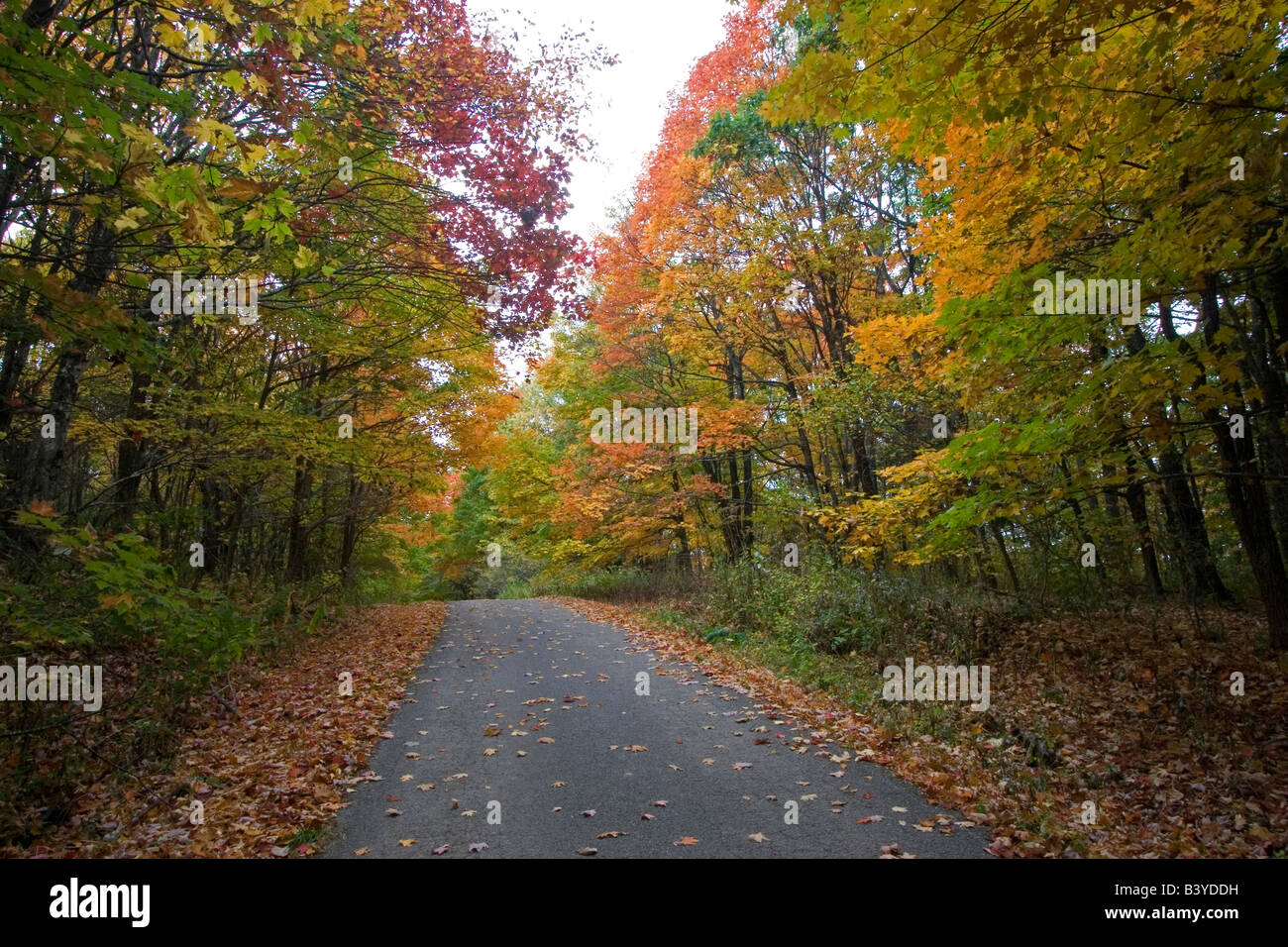 Kentucky Highest Point