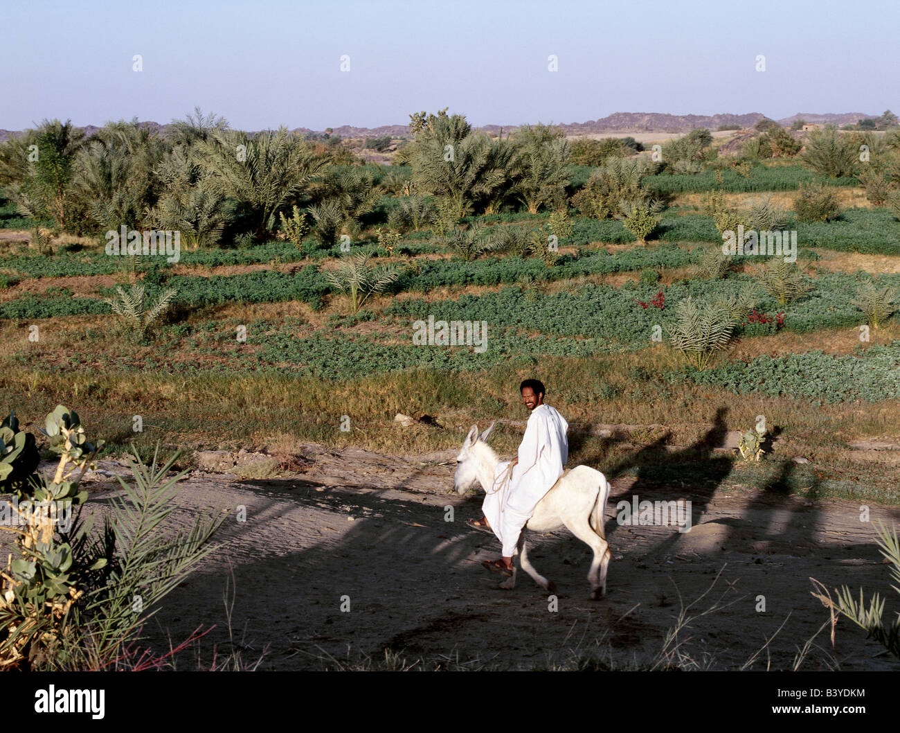 Donkey rider hi-res stock photography and images - Alamy
