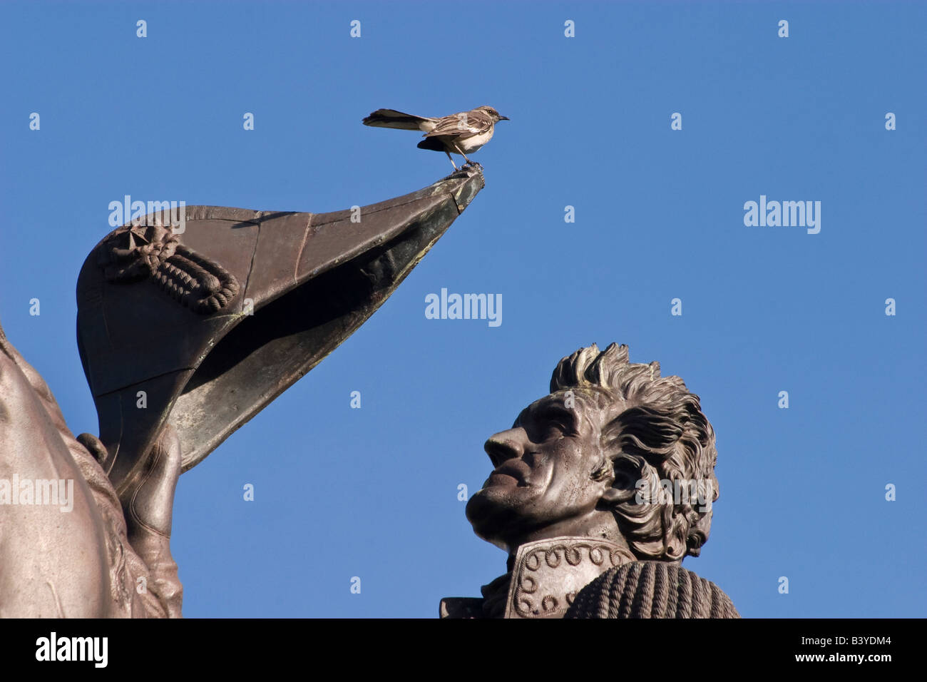 Mockingbird statue hi-res stock photography and images - Alamy