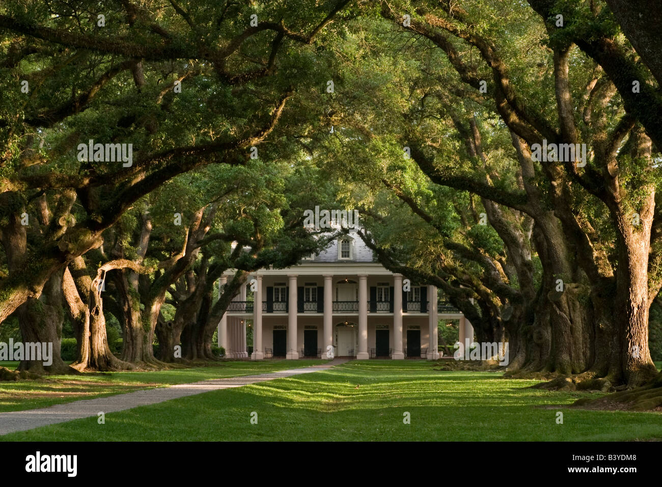 USA, Louisiana, St. James Parish, Vacherie. A classic view of Oak Alley ...