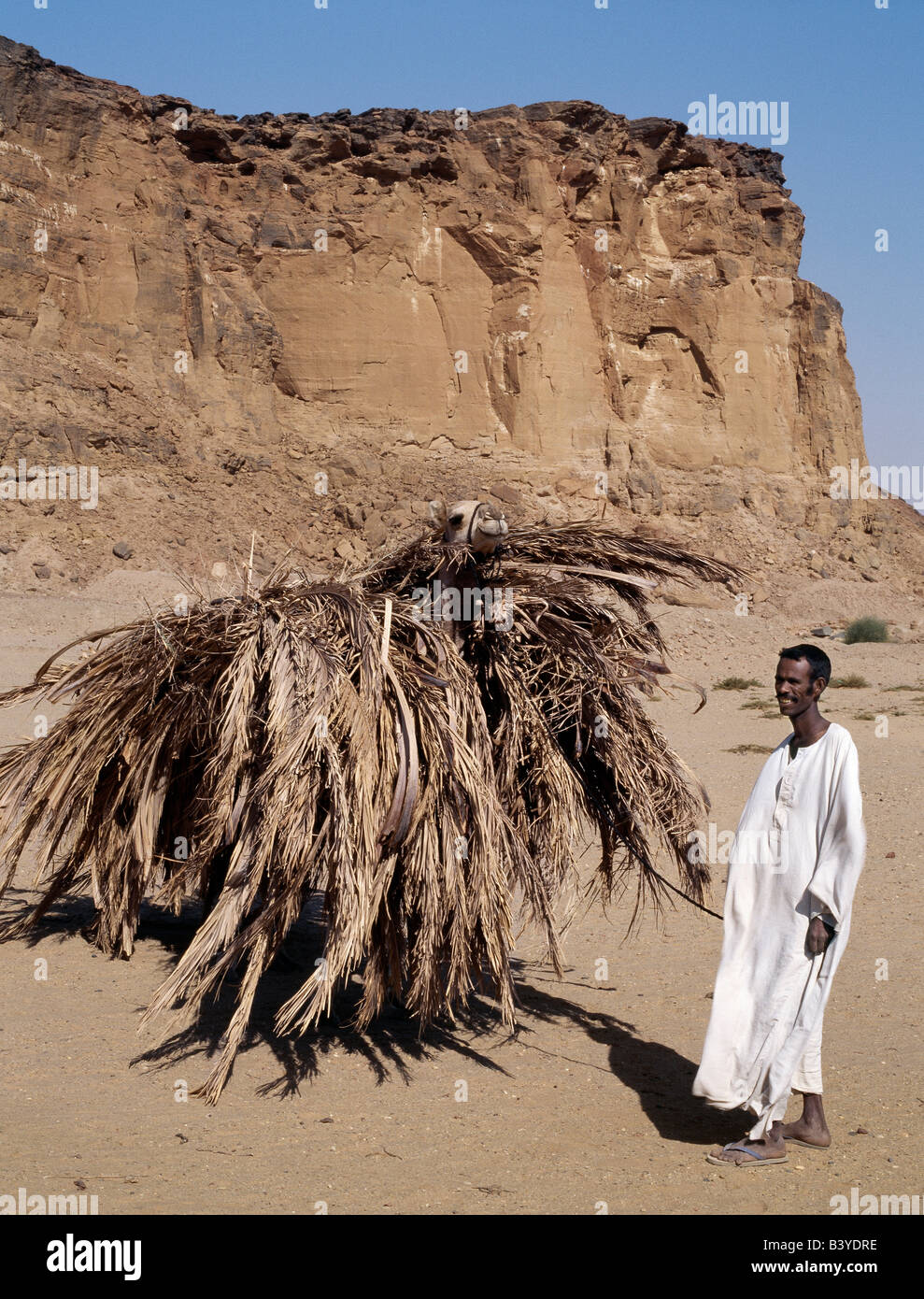 Sudan, Jebel Barkal. At the foot of Jebel Barkal Mountain, a man leads ...
