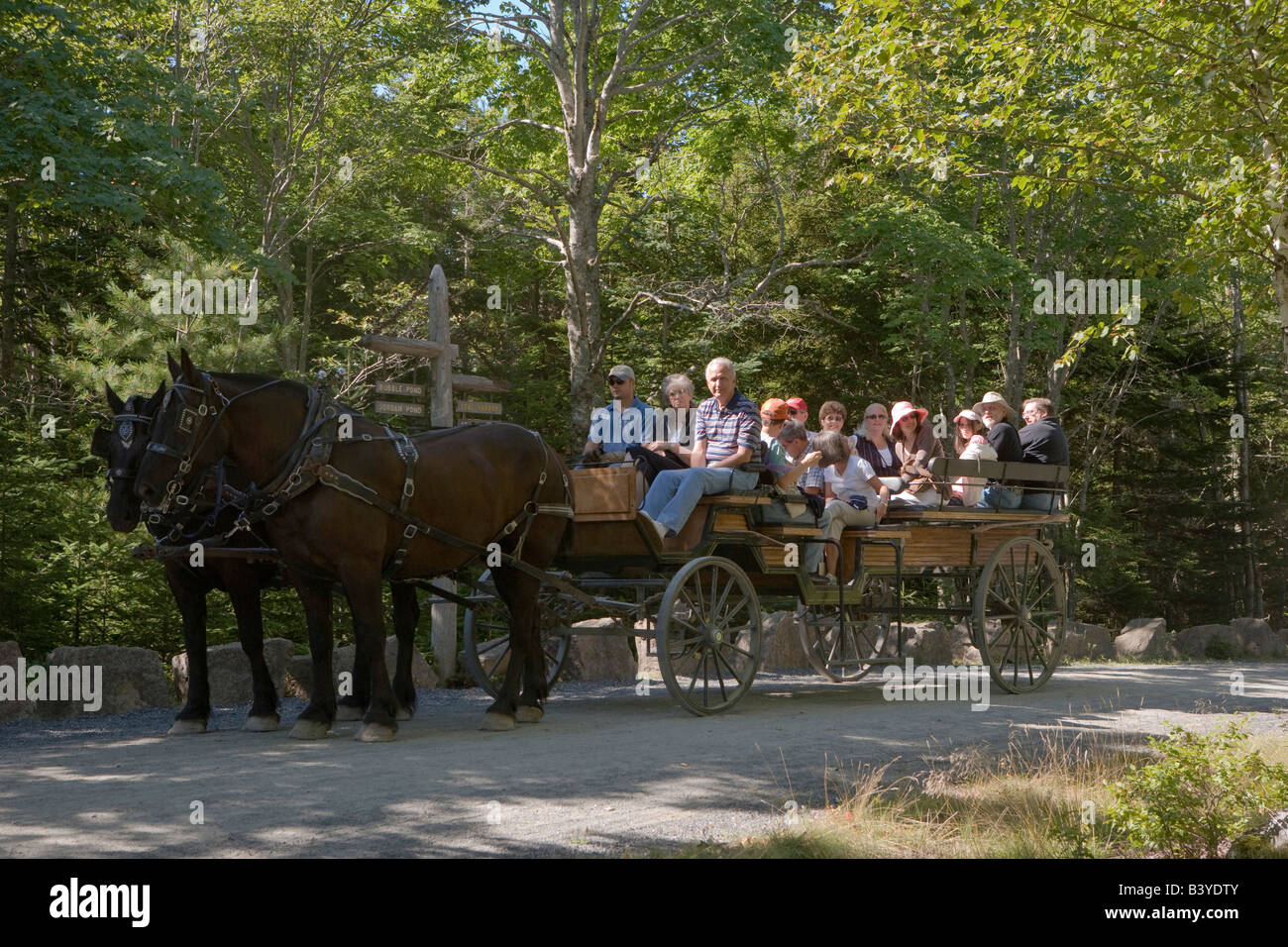 Horse carriage new forest hi-res stock photography and images - Alamy