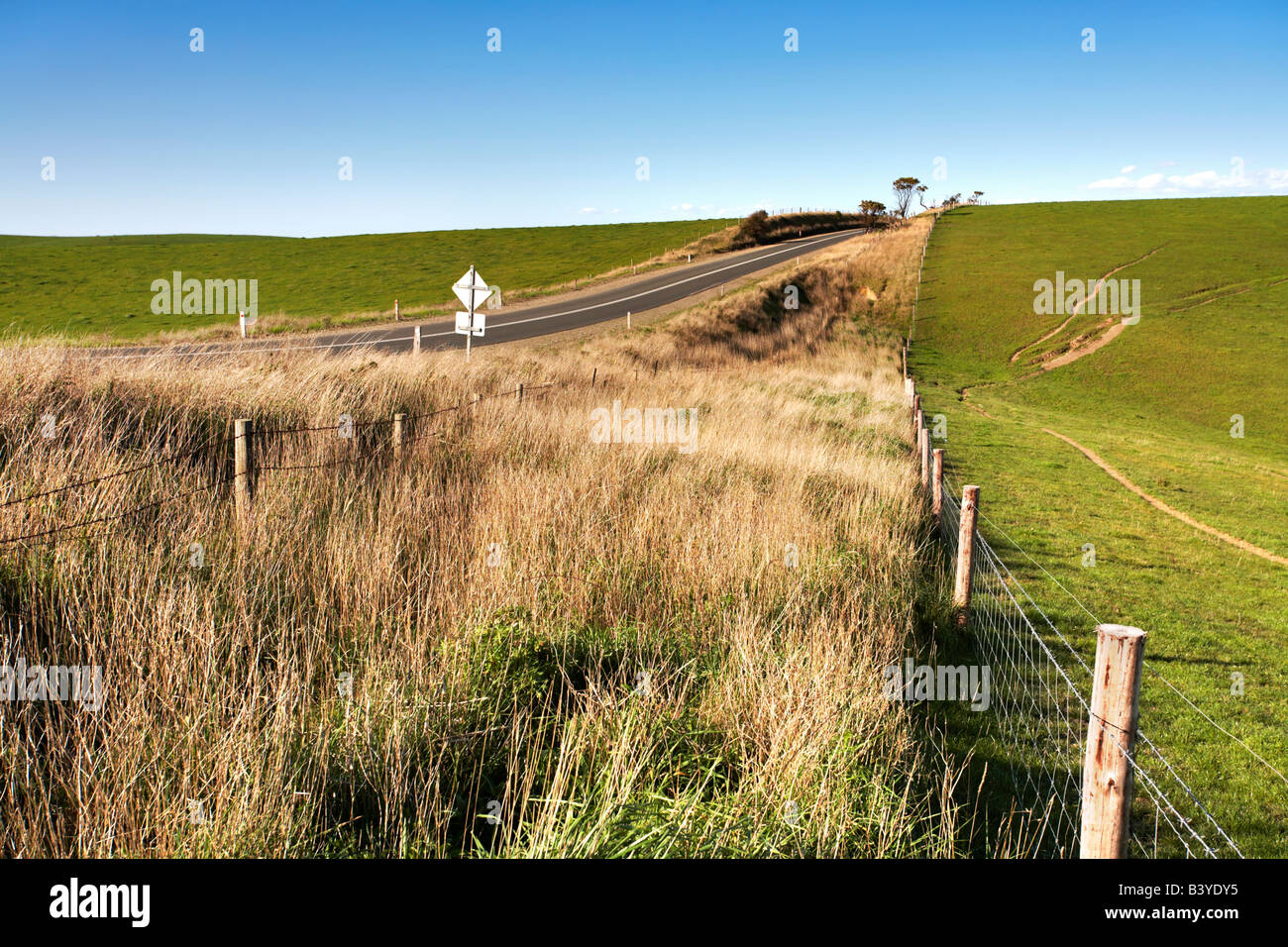 Sheep australia paddock fence hi-res stock photography and images - Alamy