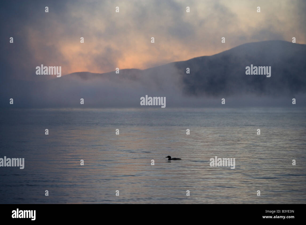 Dawn over Lily Bay in Moosehead Lake from Sugar Island Maine USA Stock ...