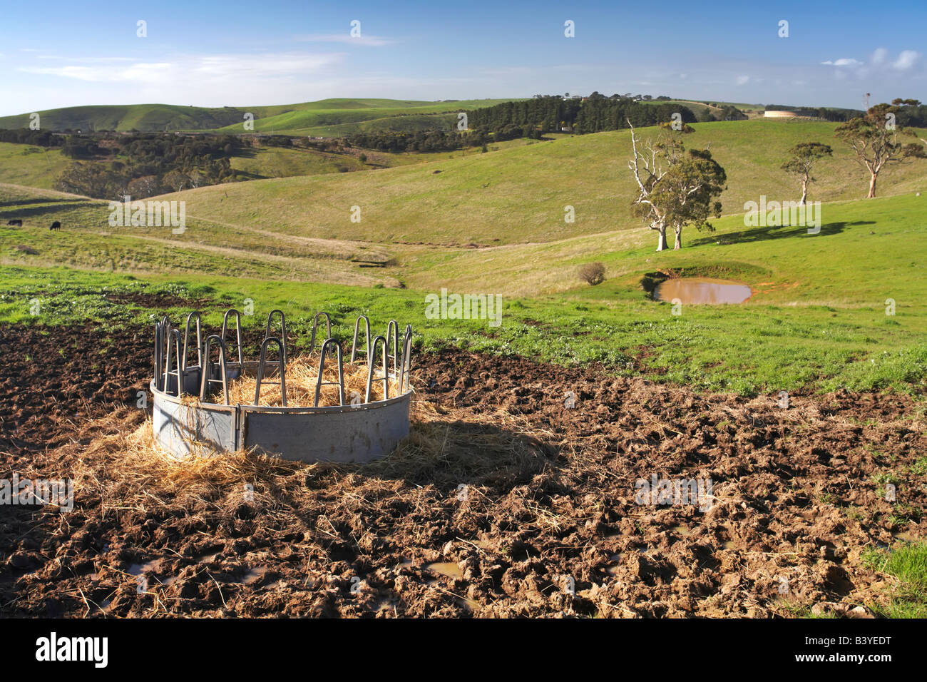 Sheep bin hi-res stock photography and images - Alamy
