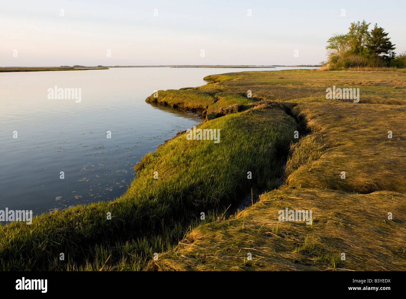 Salt marsh in spring. Strawberry Hill Preserve in Ipswich ...