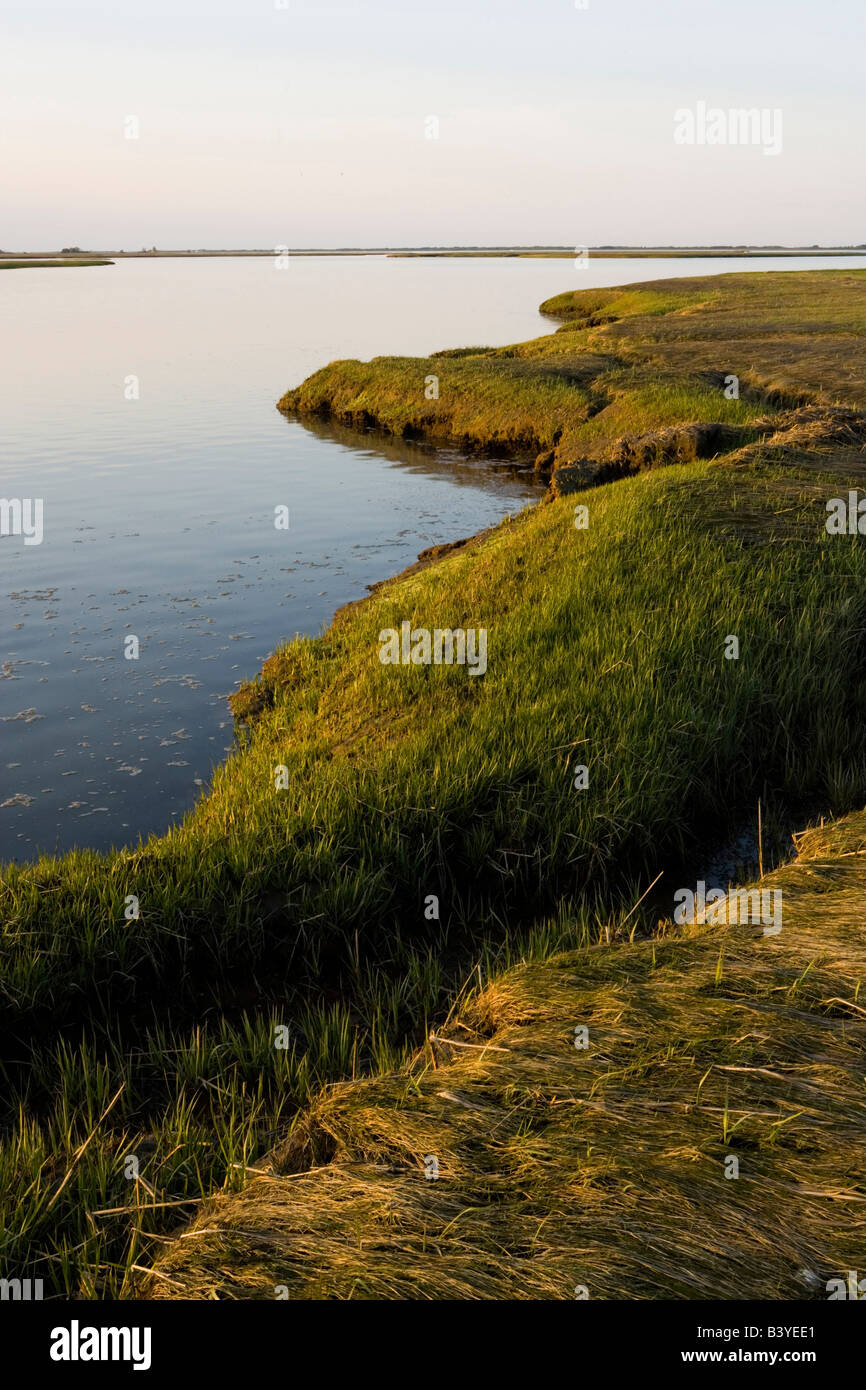 Salt marsh in spring. Strawberry Hill Preserve in Ipswich ...