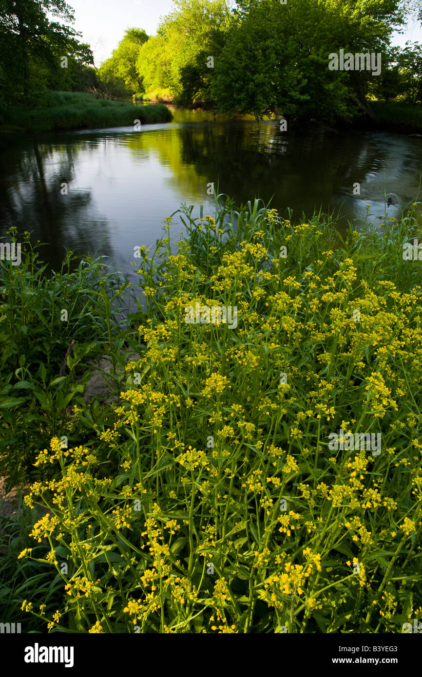 The Blackstone River. Blackstone River and Canal Heritage State Park ...