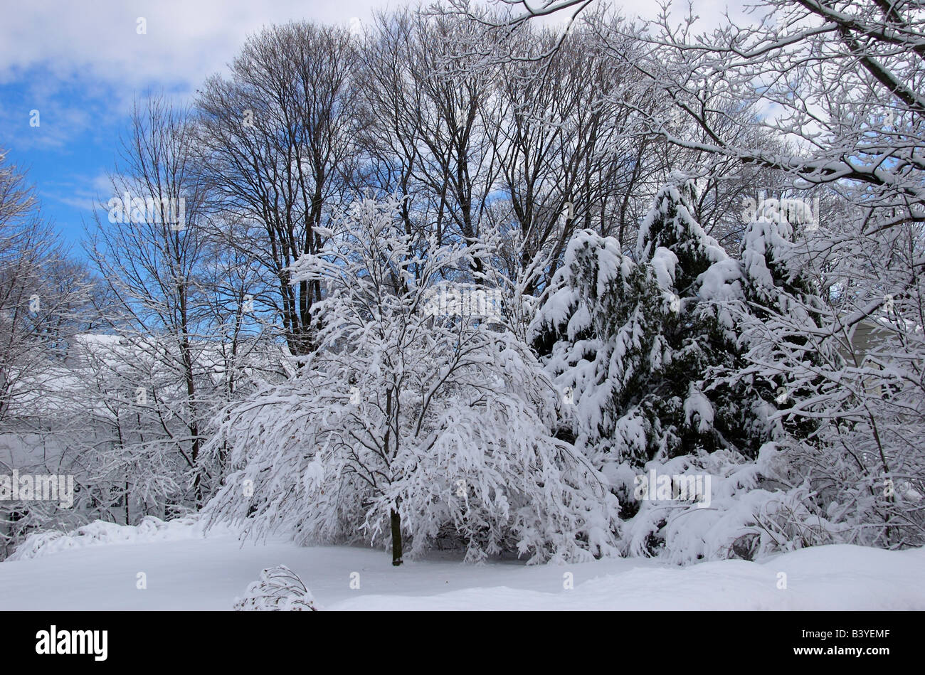 Massachusetts winter scenic hi-res stock photography and images - Alamy