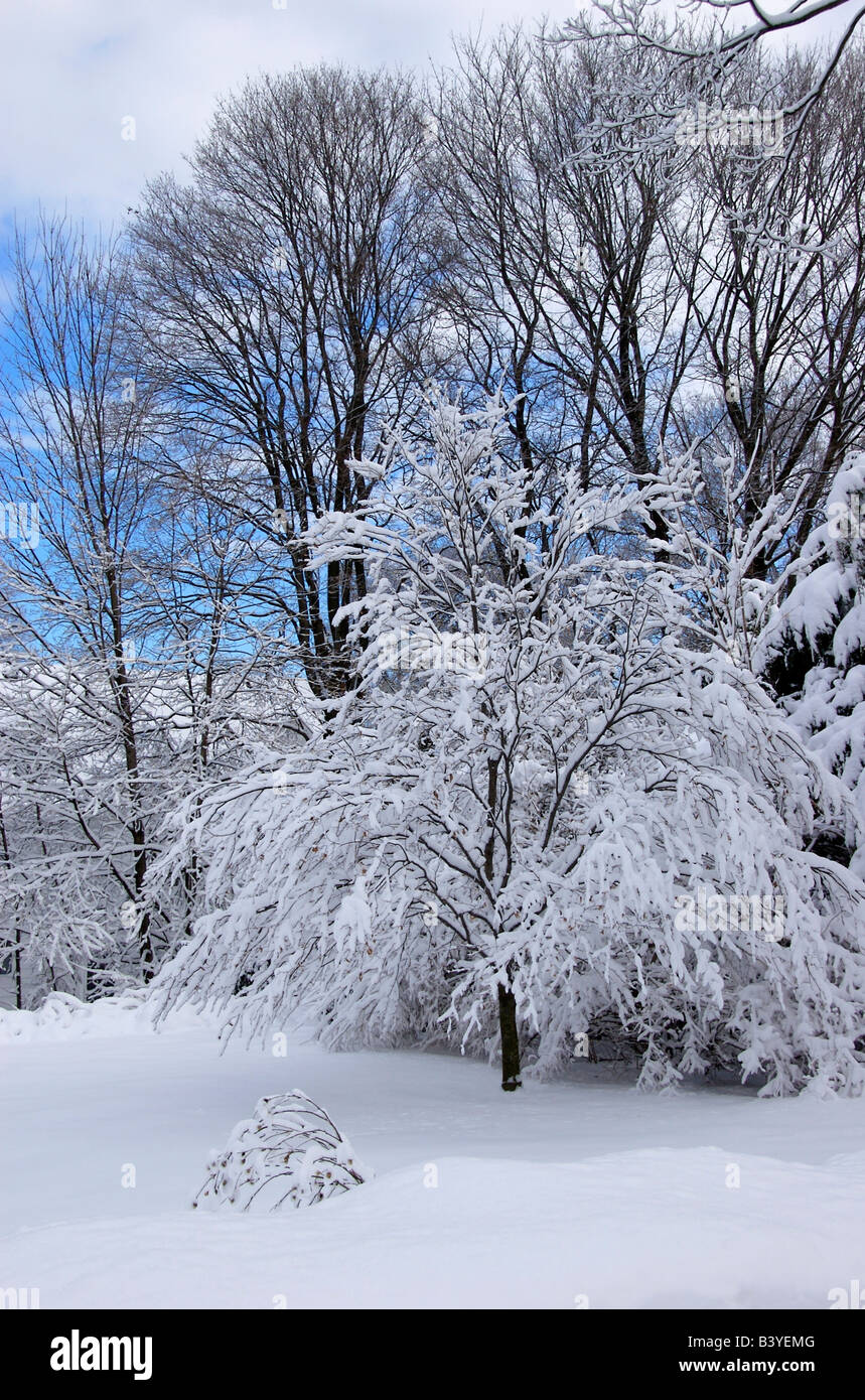 Massachusetts winter scenic hi-res stock photography and images - Alamy