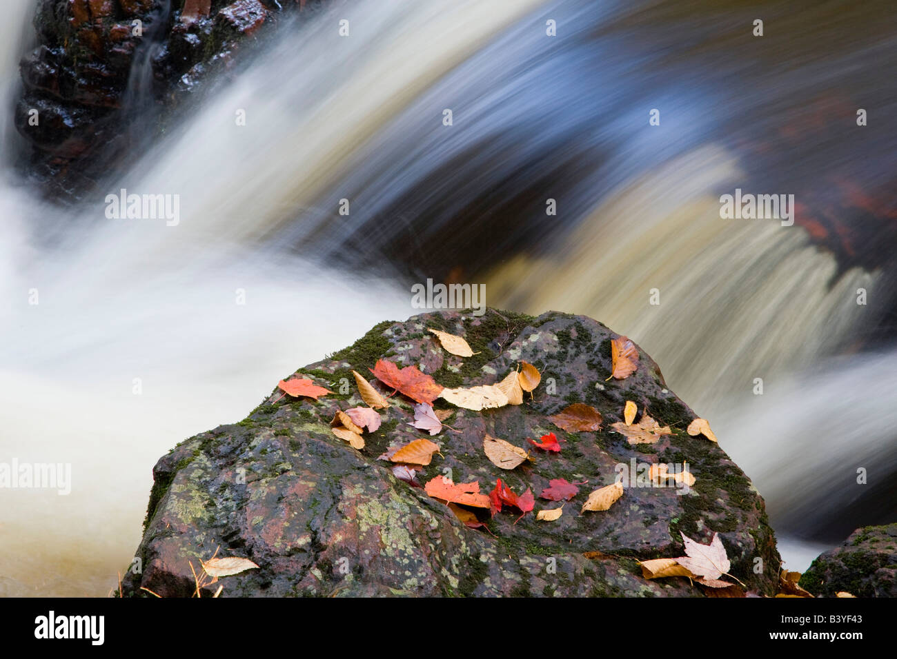 Overlooked Falls in the Little Carp River in the Porcupine Mountains ...