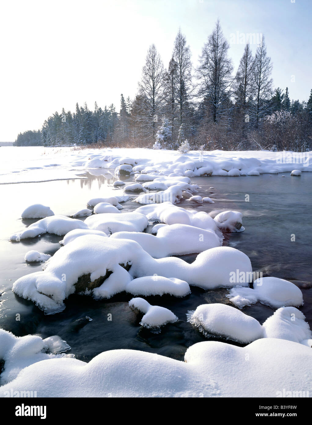 USA, Minnesota, Itasca State Park, Mississippi Headwaters Stock Photo ...
