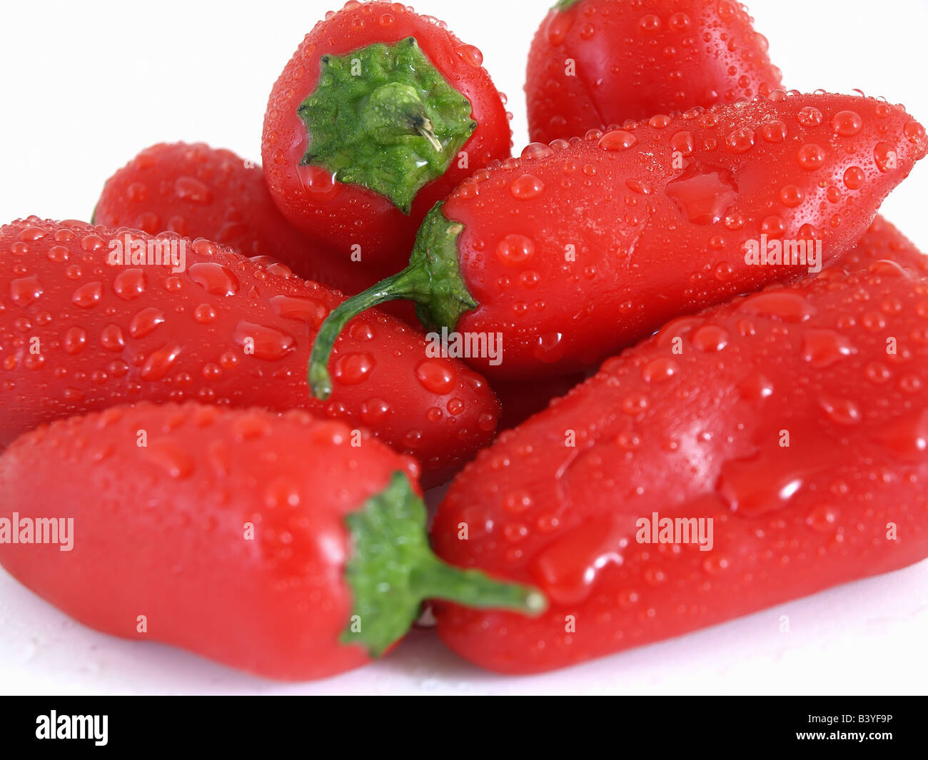 Vibrant wet red mini bell peppers isolated on a white background Stock ...