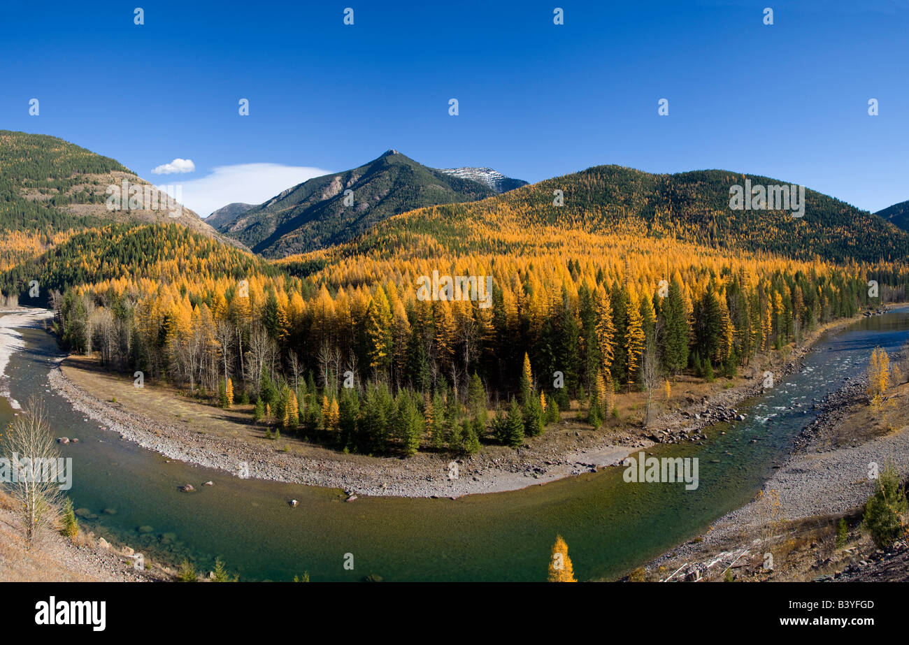 Middle Fork of the Flathead River in autumn near Essex Montana Stock ...