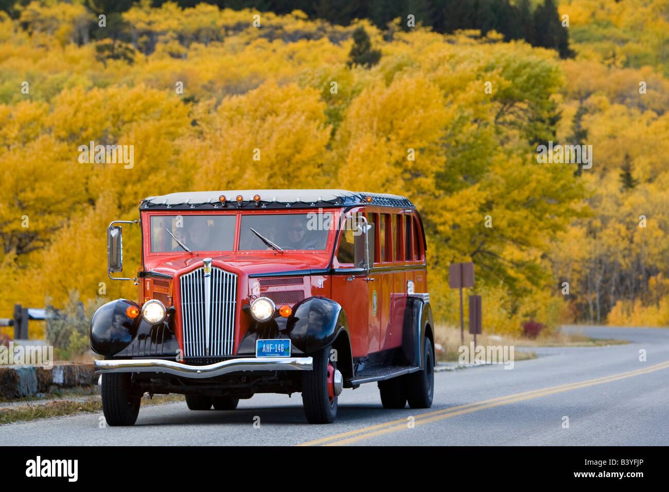 Red Jammer bus crosses the St Mary bridge in autumn in Glacier National ...