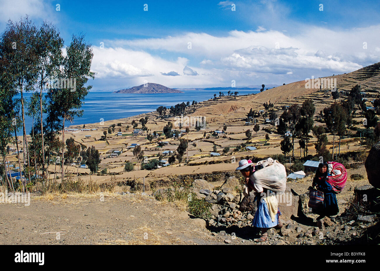 Peru, Lake Titicaca, Well tended terraces of Amantani Island with ...