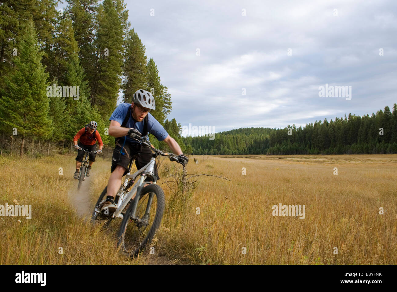 Stillwater State Forest High Resolution Stock Photography and Images ...