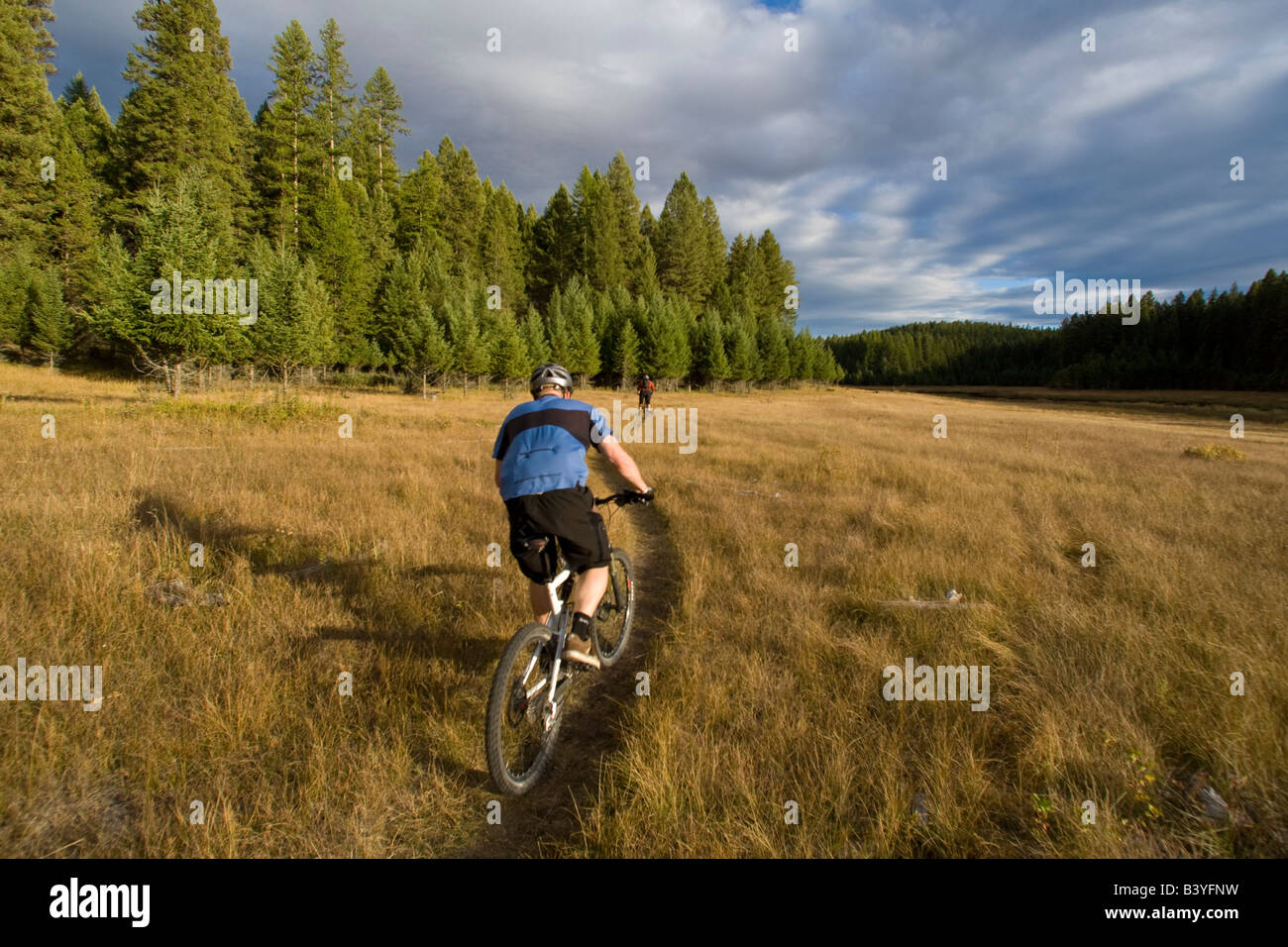 Stillwater state forest hi-res stock photography and images - Alamy
