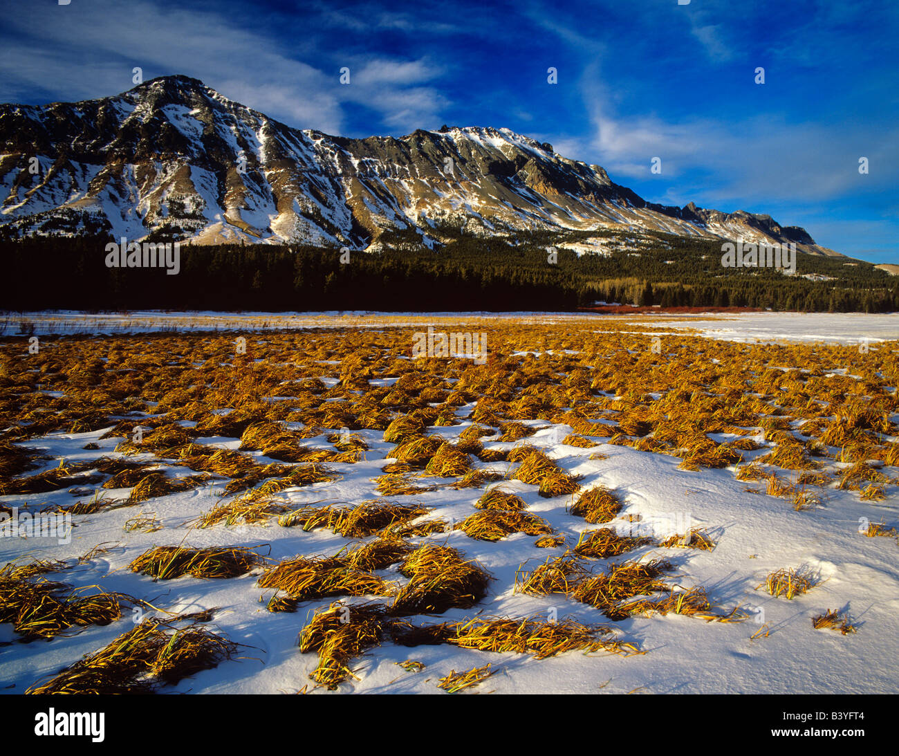 Three Bears Lake at Marias Pass in winter in Glacier National Park in ...