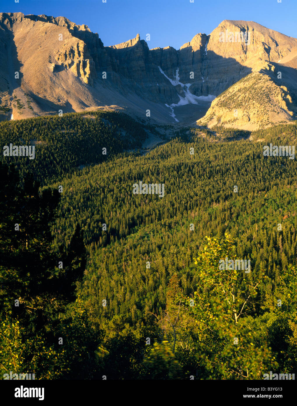 GREAT BASIN NATIONAL PARK, NEVADA. USA. Wheeler & Jeff Davis Peaks rise ...