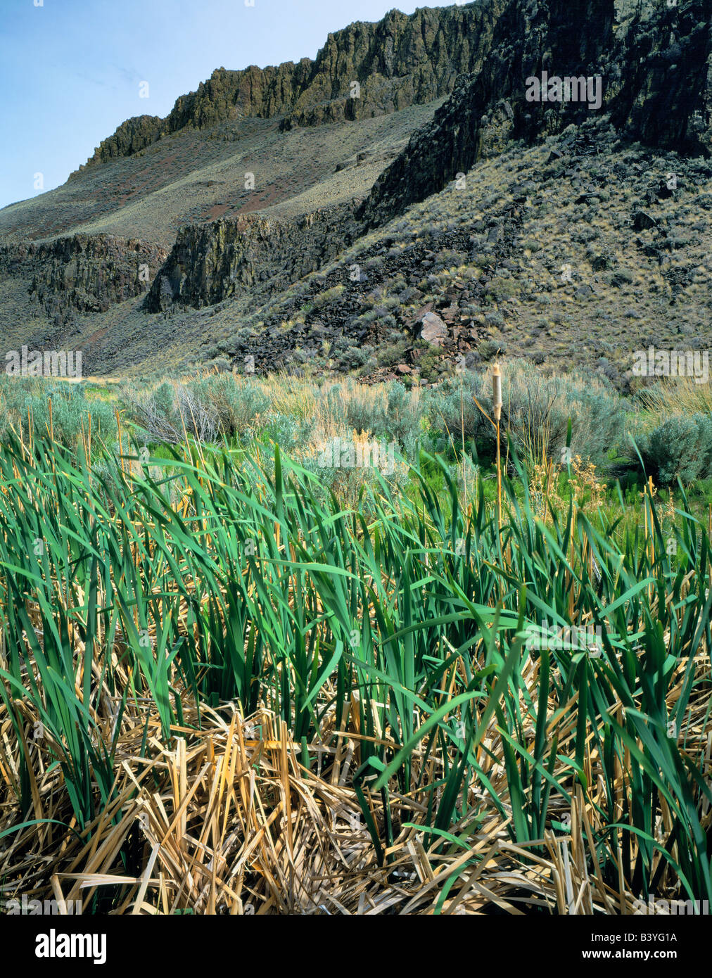 High rock canyon wilderness hi-res stock photography and images - Alamy