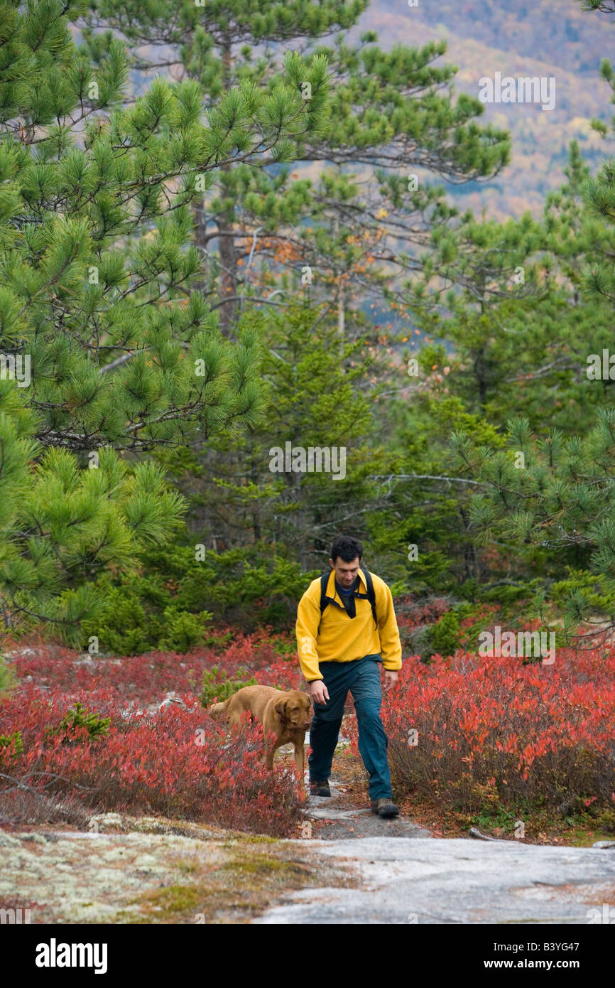 Hiking on the Blueberry Mountain Trail in New Hampshire's White ...