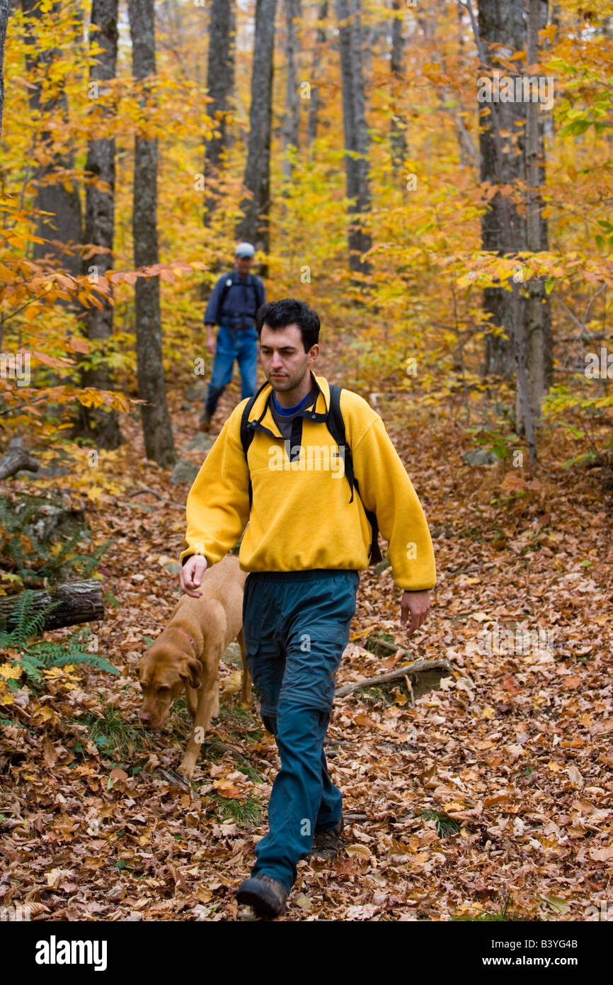 Hiking on the Blueberry Mountain Trail in New Hampshire's White ...