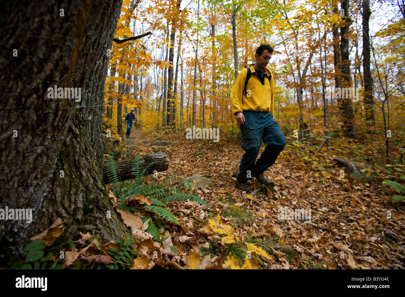 Hiking on the Blueberry Mountain Trail in New Hampshire's White ...