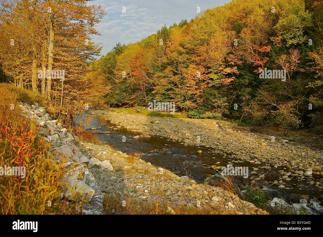 North America, USA, New Hampshire. A stream surrounded by fall foliage ...