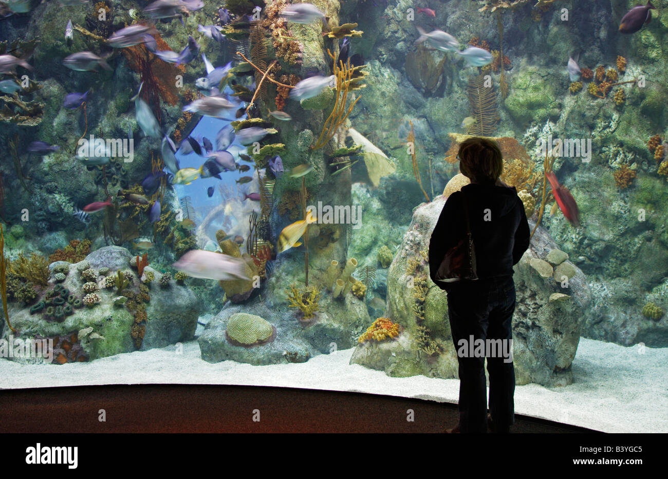 USA, New Mexico, Albuquerque. An adult female tourist admires an ...